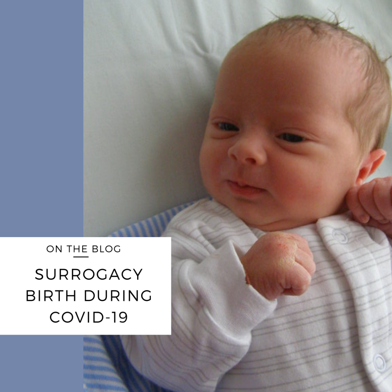 The Surrogacy Blog | Sarah Jefford