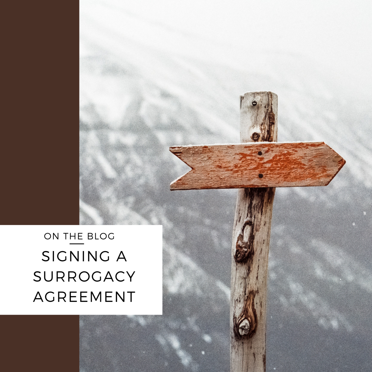 Signing a Surrogacy Agreement - Sarah Jefford Surrogacy Lawyer Australia