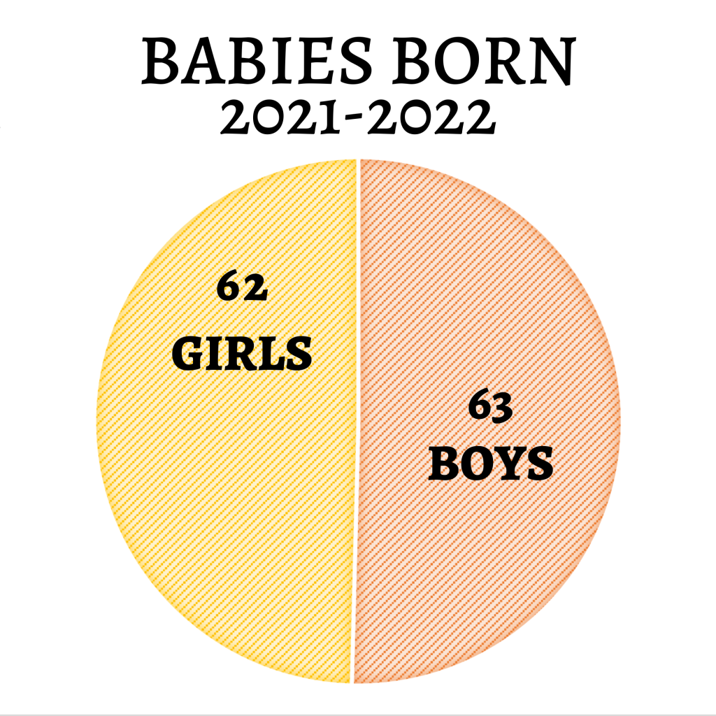 Australian Surrogacy Statistics - Sarah Jefford